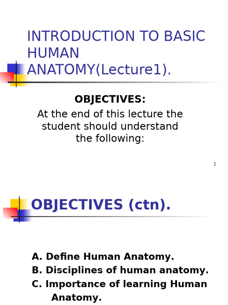 Introduction to Human Anatomy Basics | PDF | Anatomical Terms Of Motion ...