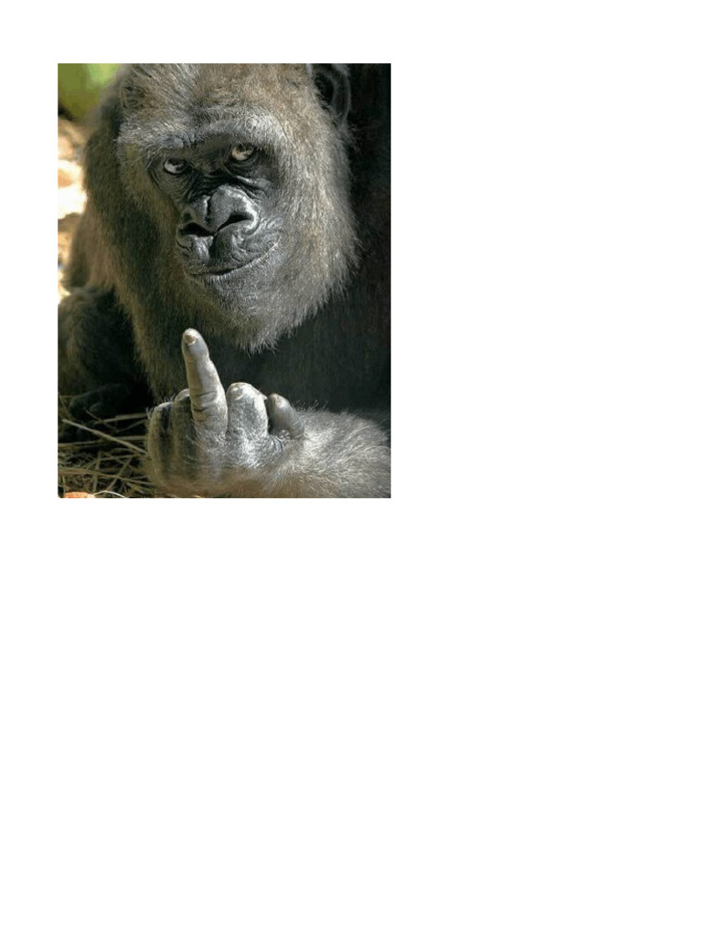 LTIMindTree Shortlist | PDF