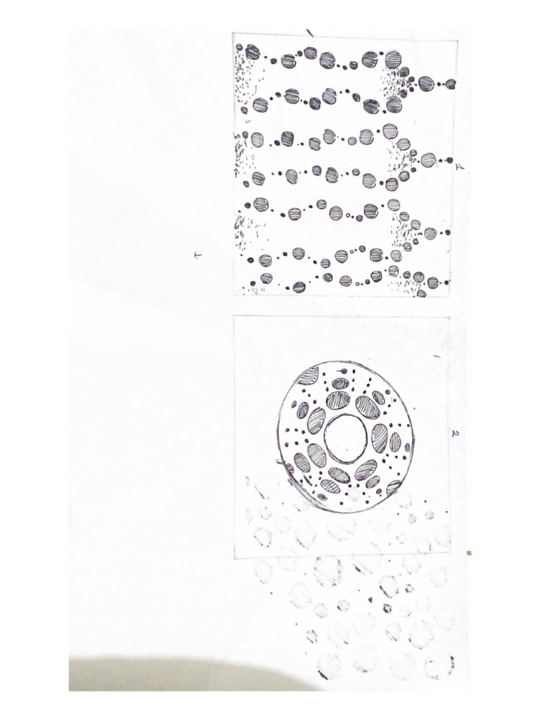 Joylin 00000141610 Unity | PDF