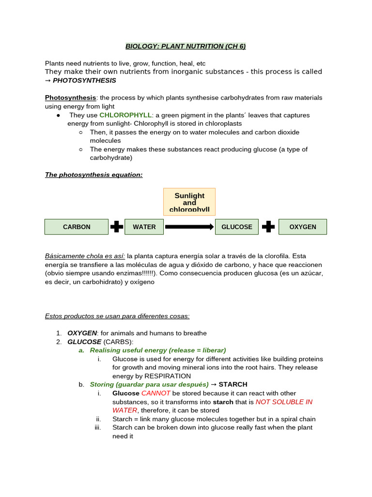 Biology - Plant Nutrition (CH 6) | PDF | Leaf | Stoma