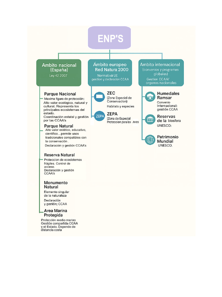Esquema ENP'S | PDF