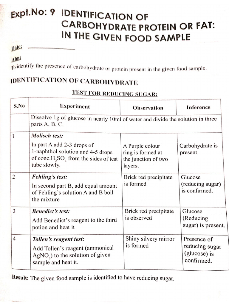 Food Test(Carbohydrate&Protein) | PDF