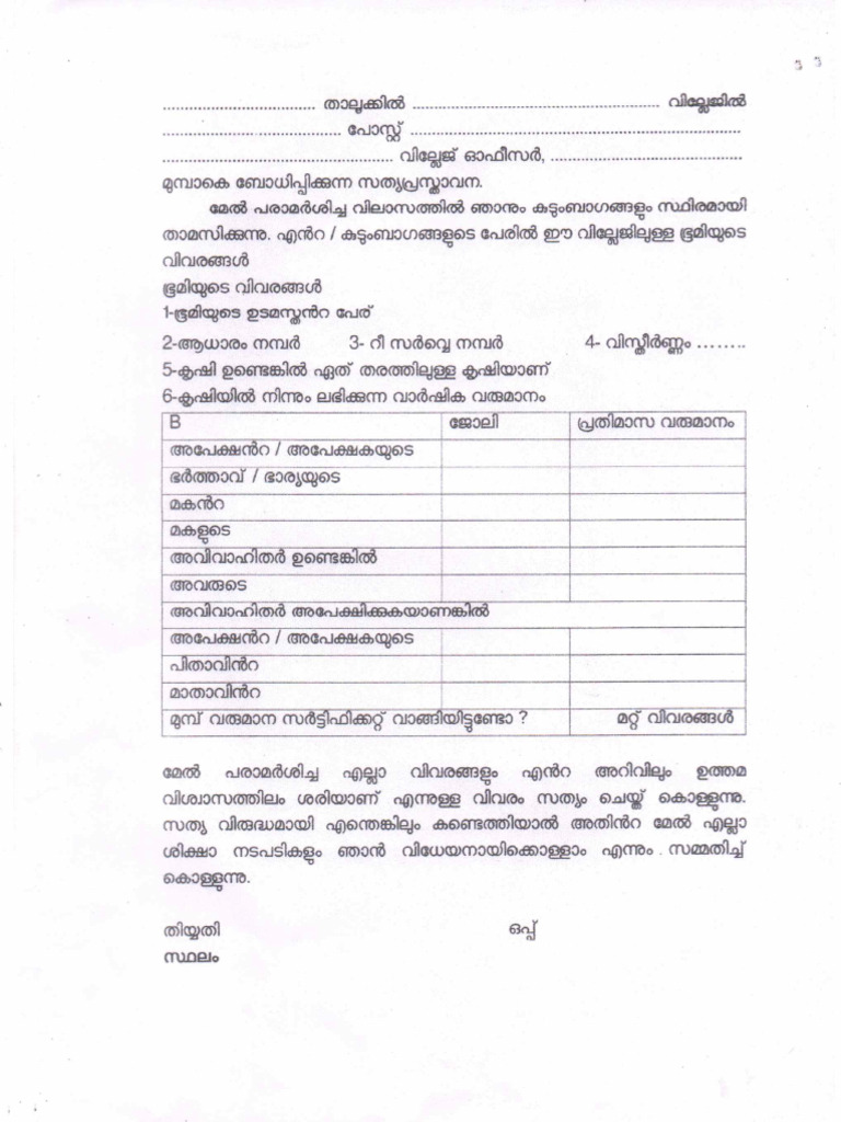 Affidavit Income Form | PDF