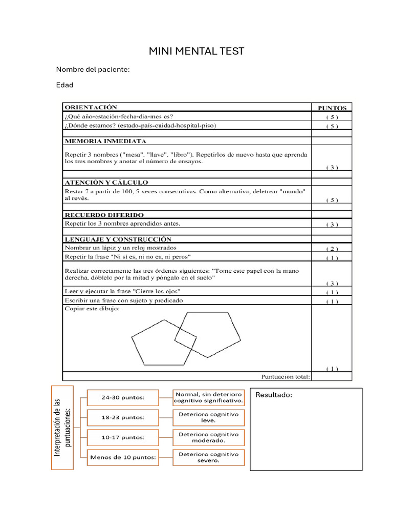 Mini Mental Test | PDF
