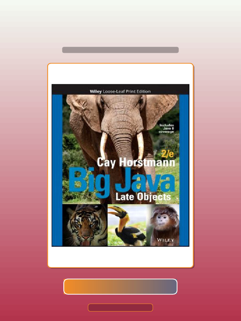 Big Java Late Objects 2nd Edition Cay S Horstmann eBook and TestBank ...