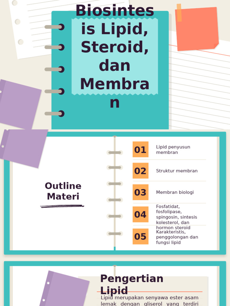 PPT_111_Biosintesis Lipid, Steroid, Dan Membran | PDF