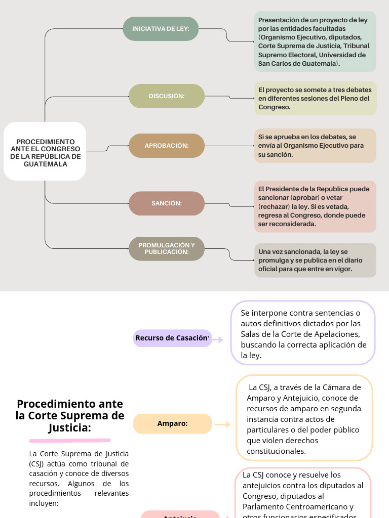 Tres Esquemas Del Procedimiento | PDF | Apelación | Instituciones gubernamentales