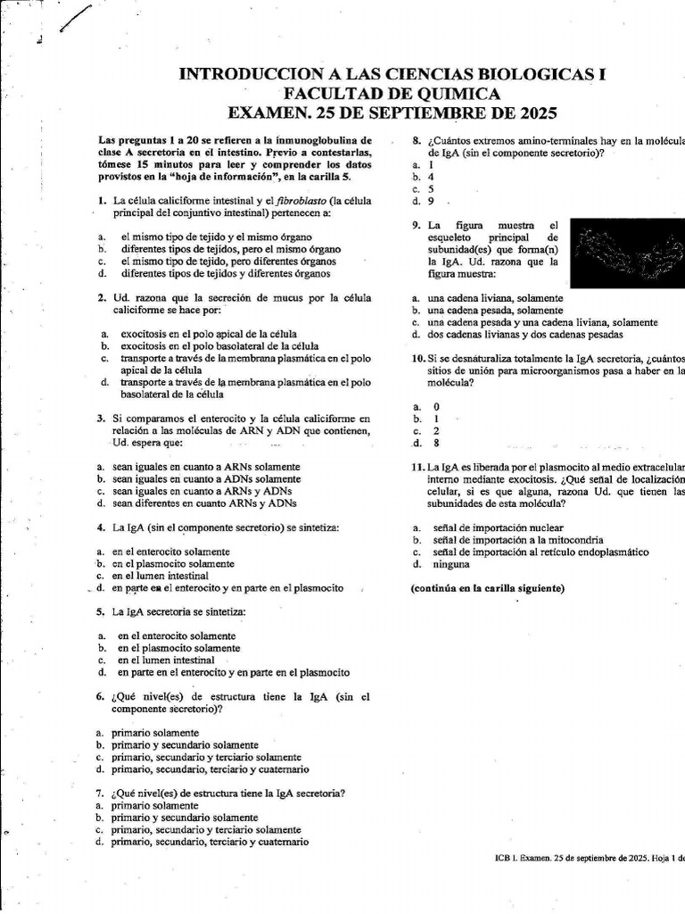Examen Icb 1-Sept. 2025 | PDF