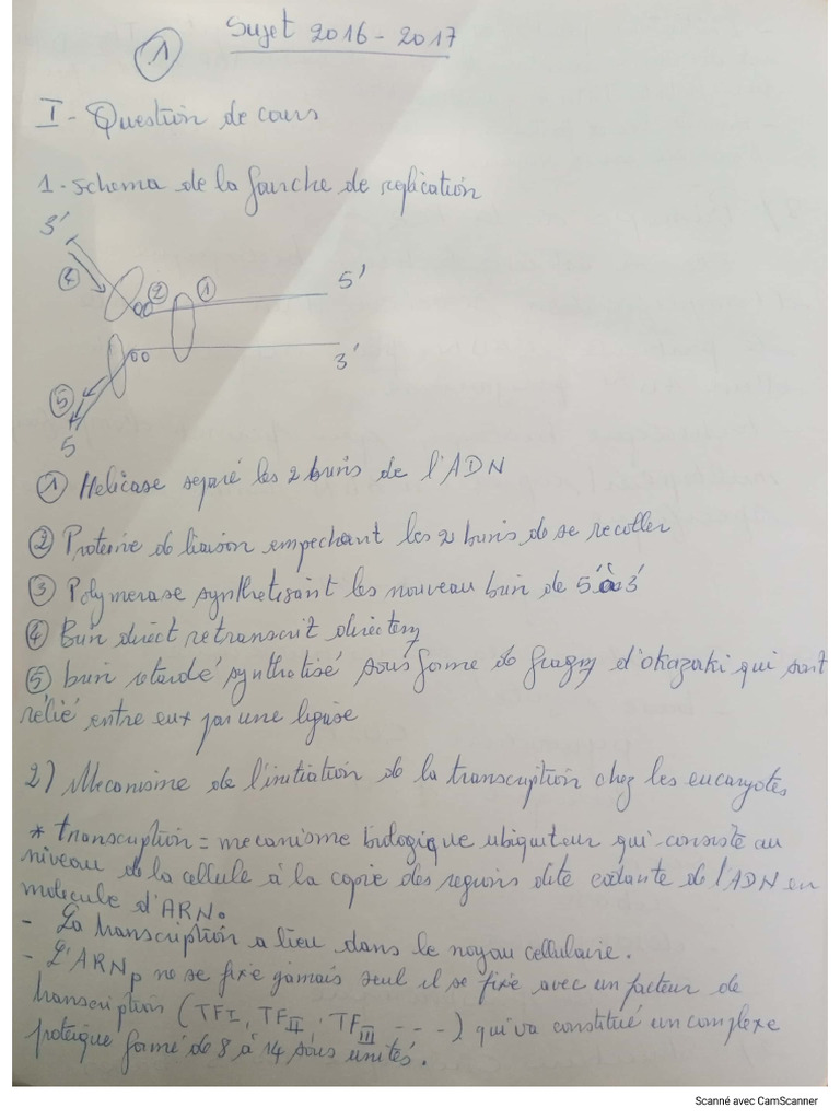 Bio Mol | PDF