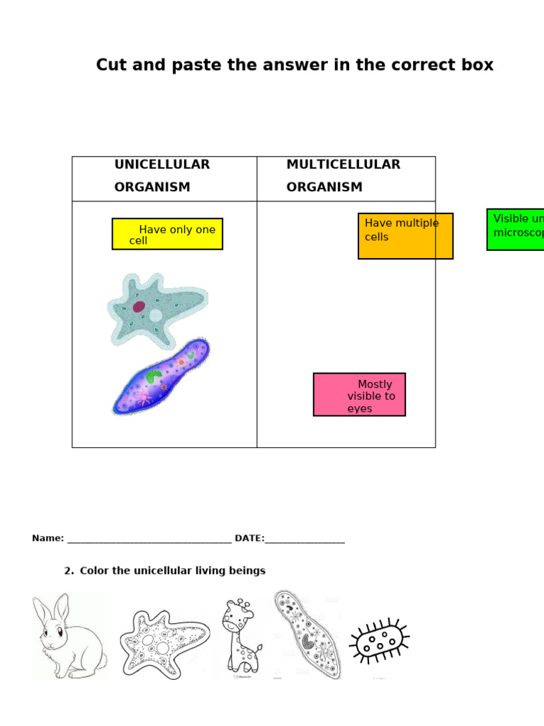 Cell - Unicellular and Multicellular | PDF