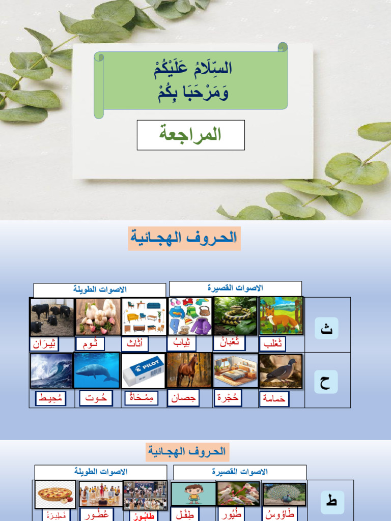 مراجعة الامتحان Term 3 PDF | PDF