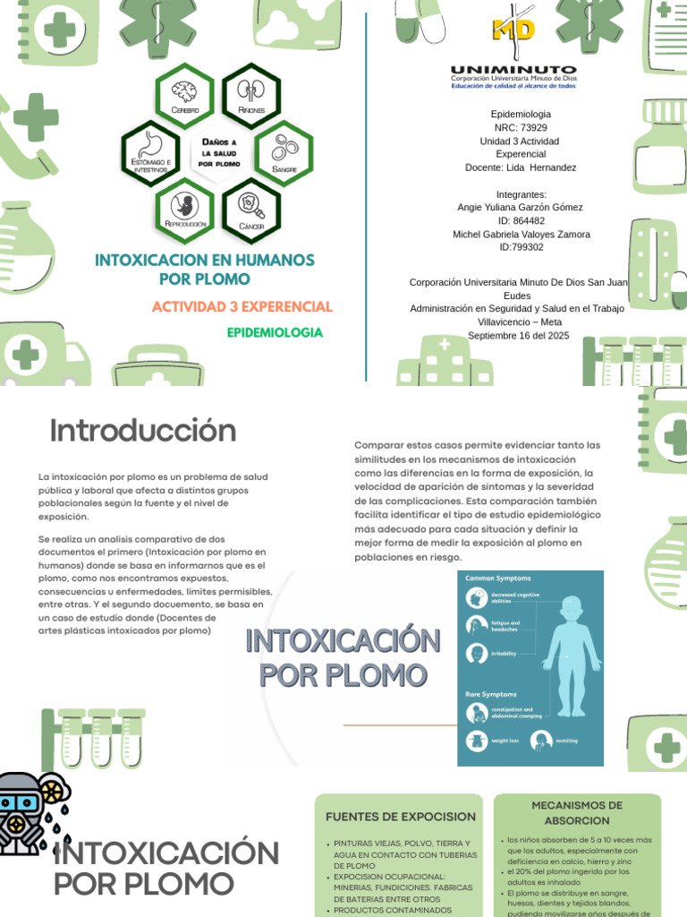 Intoxicación por Plomo en Humanos | PDF | Especialidades Medicas
