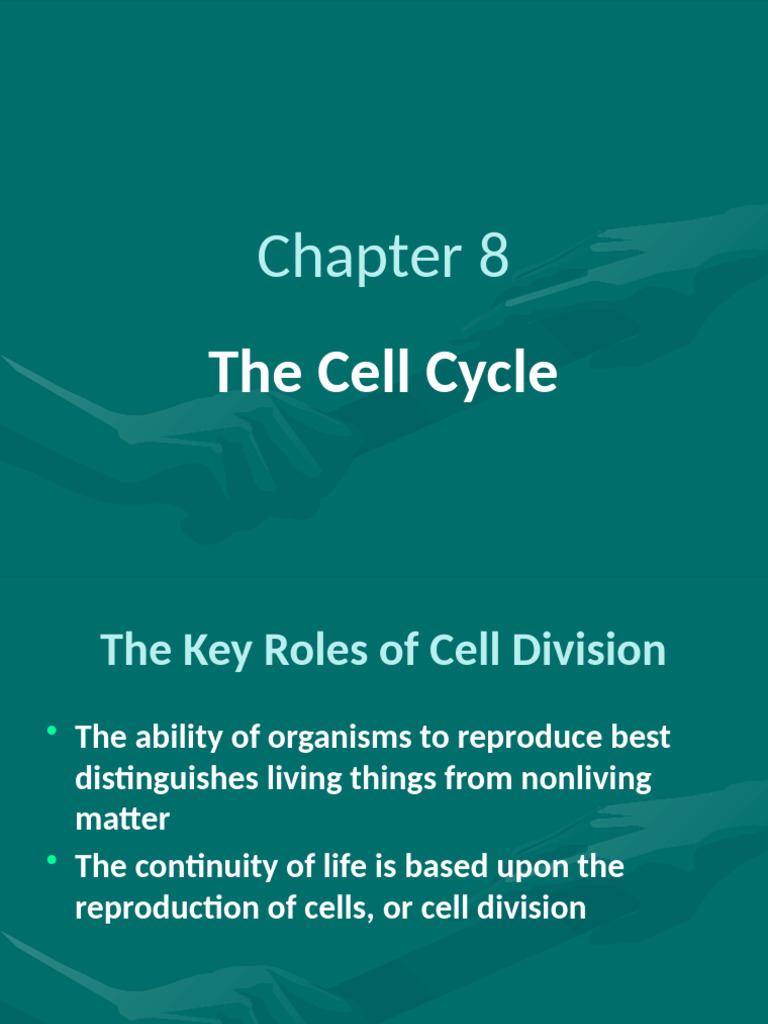 08 Mitosis&Meiosis, The Cell Cycle. Types of Cell Division | PDF ...
