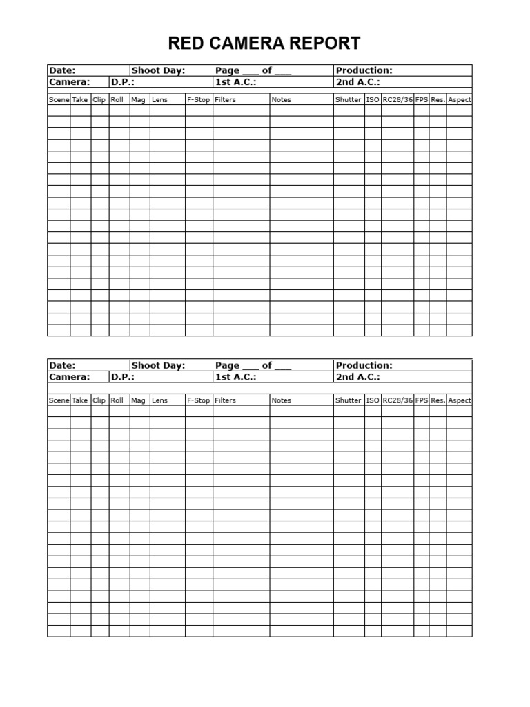 Red Camera Report | PDF