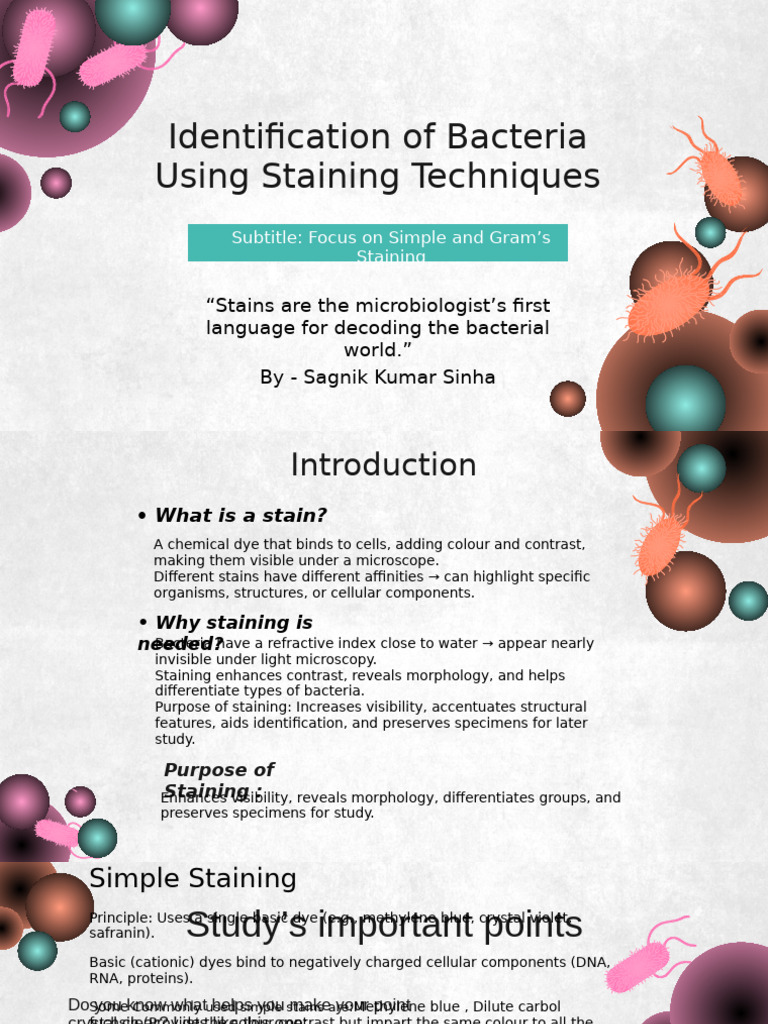 Bacteria Identification via Staining Techniques | PDF | Staining | Biology