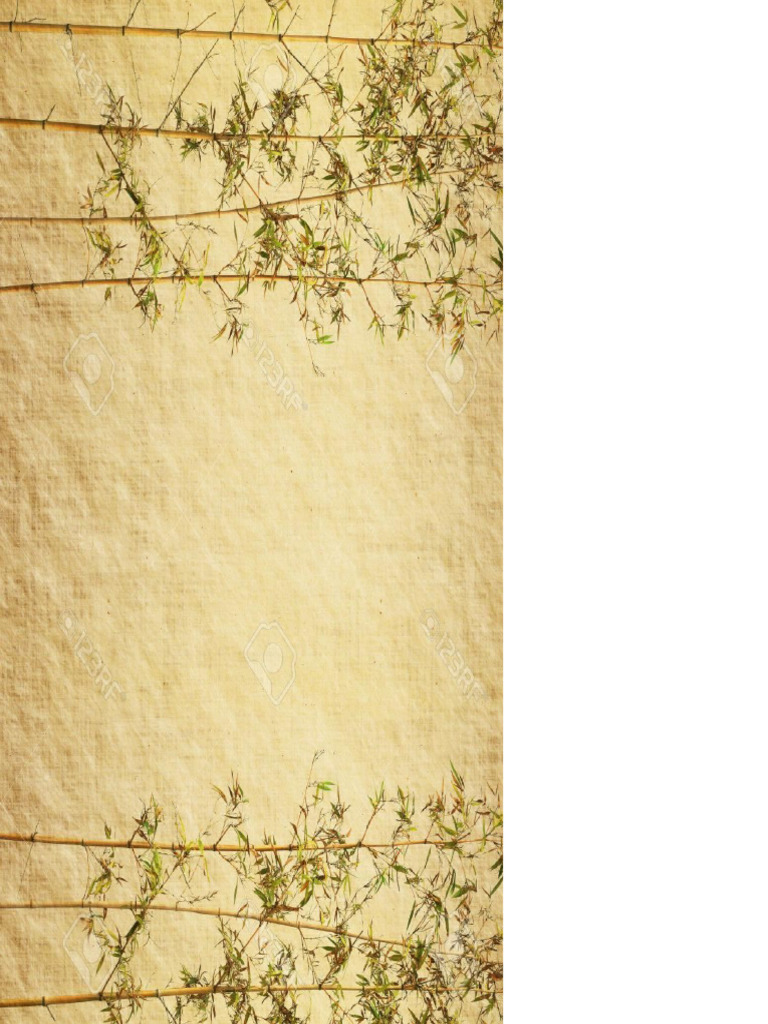 Bamboo | PDF