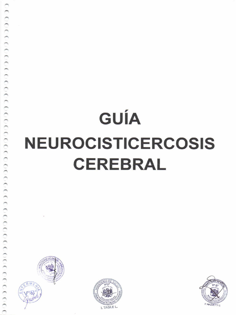 Guía de Intervención en Neurocisticercosis | PDF | Enfermedades y ...