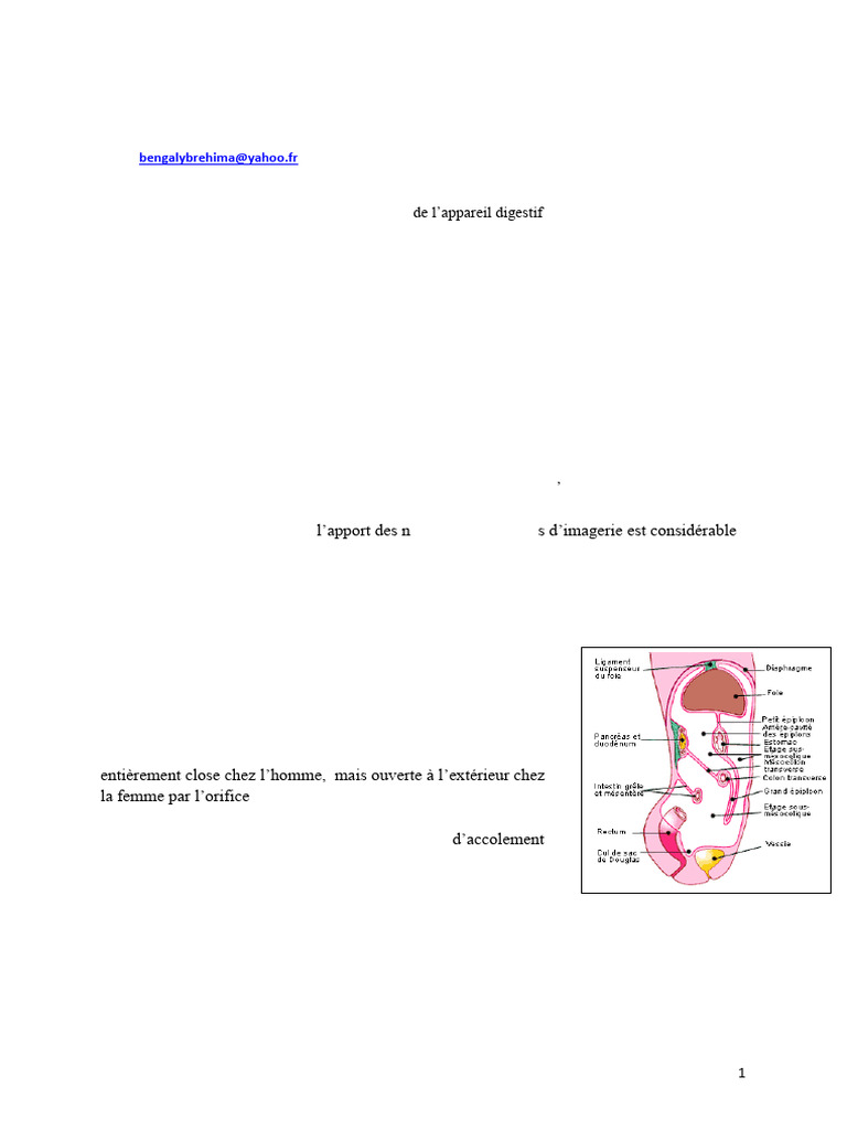 Péritonites Aiguës : Diagnostic et Traitement | PDF | Péritoine ...
