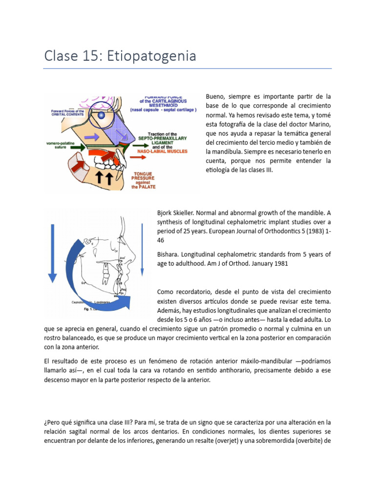Etiopatogenia de la Clase III Dental | PDF | Diente