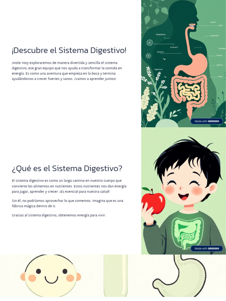 Descubre El Sistema Digestivo | PDF | Sistema digestivo humano | Digestión