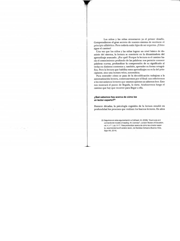 Capitulo 4 Ensen Ar A Leer y Escribir. B. Diuk | PDF
