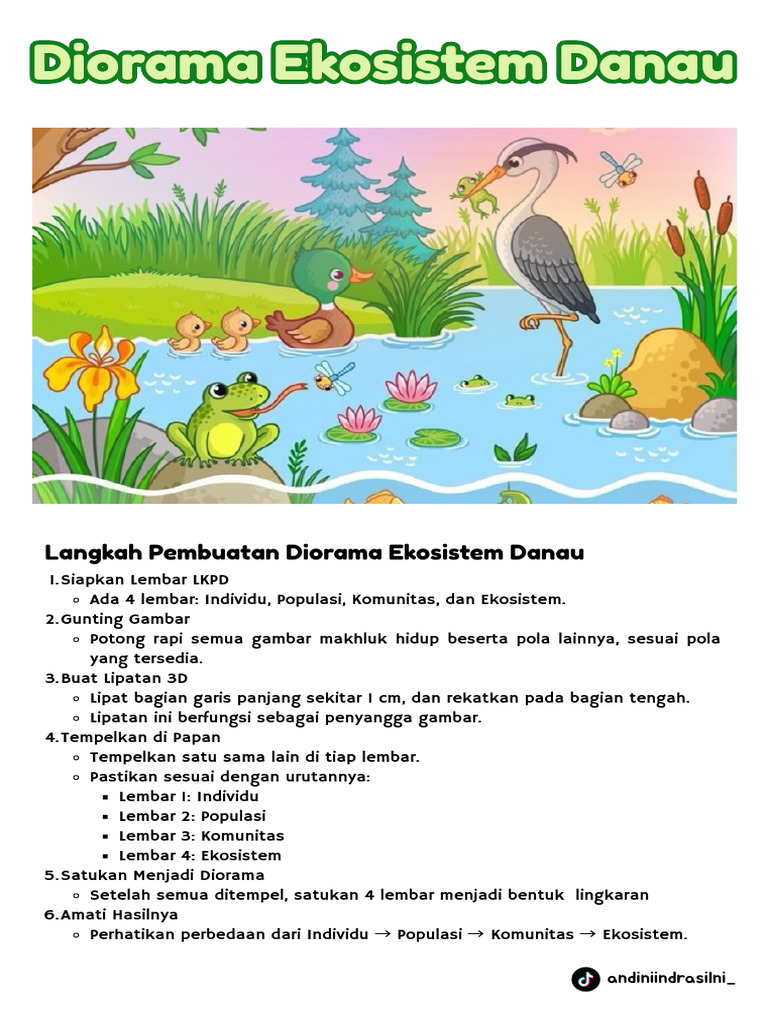 Diorama Ekosistem Part 1 Pdf