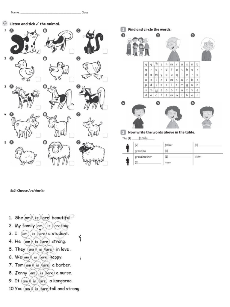 Name 1 | PDF