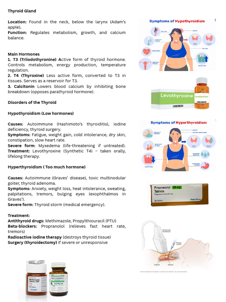 THYROIDland) Parts Anterior Pituitary (Adenohypophysis) → Produces hormones_20250912_140002_0000 ...