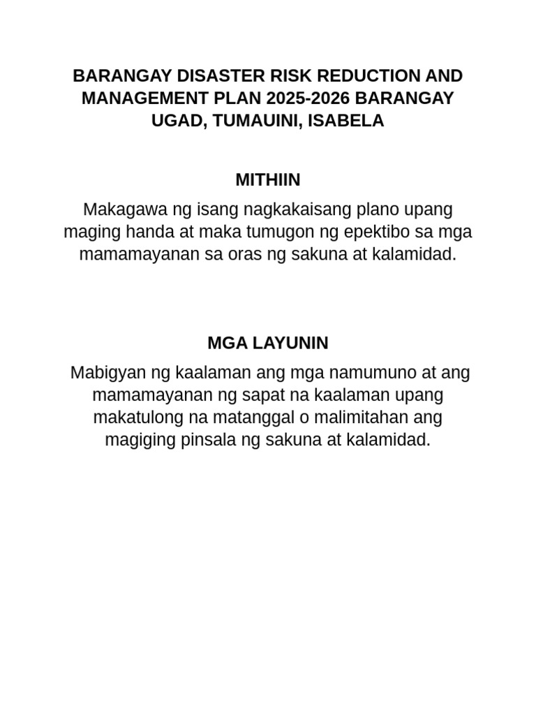 Barangay Disaster Risk Reduction and Management Plan 2025 | PDF