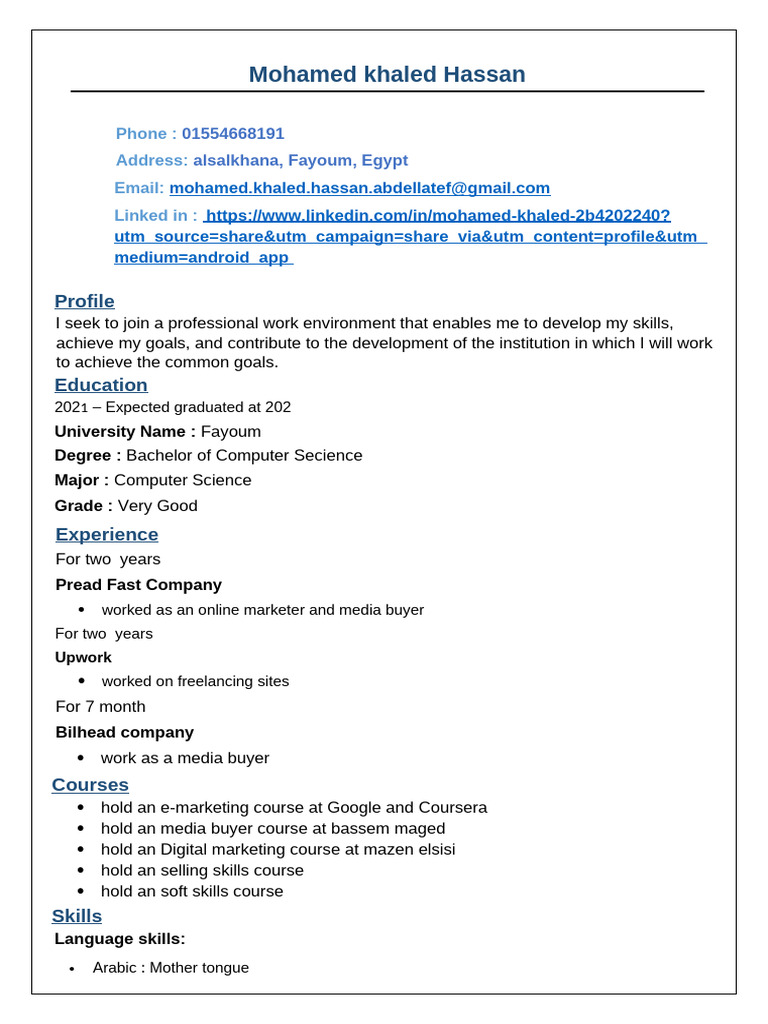Mohamed Khaled Media Buyer CV | PDF