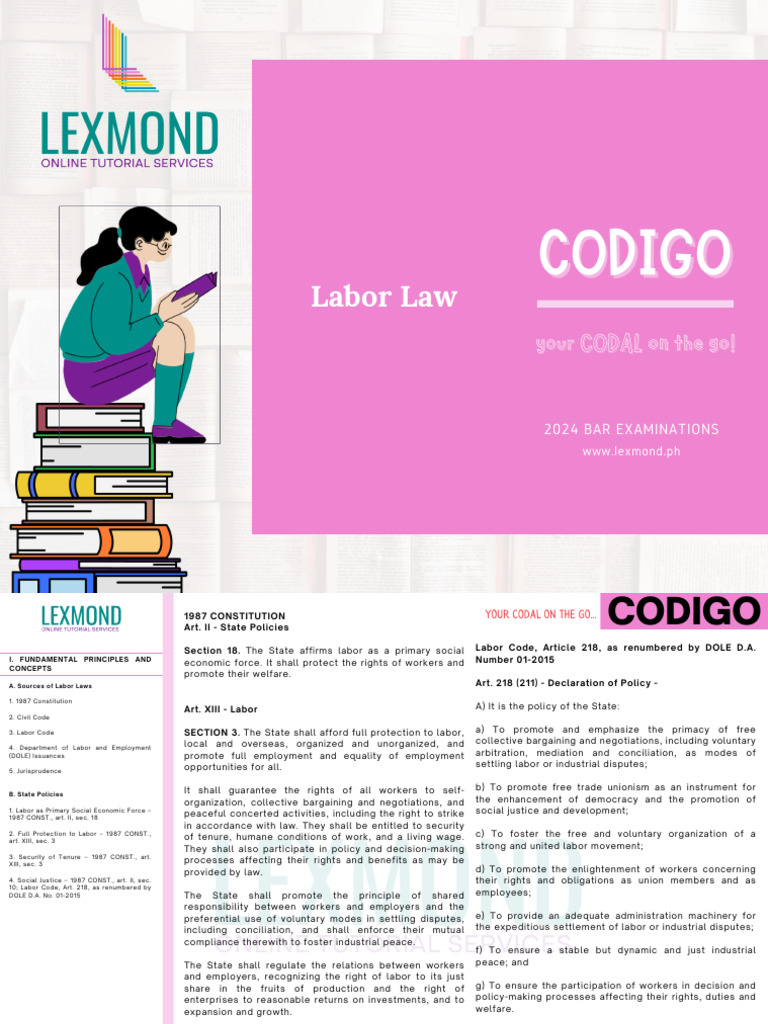 2024 DOLE Labor Code Overview | PDF | Employment | Labour Law