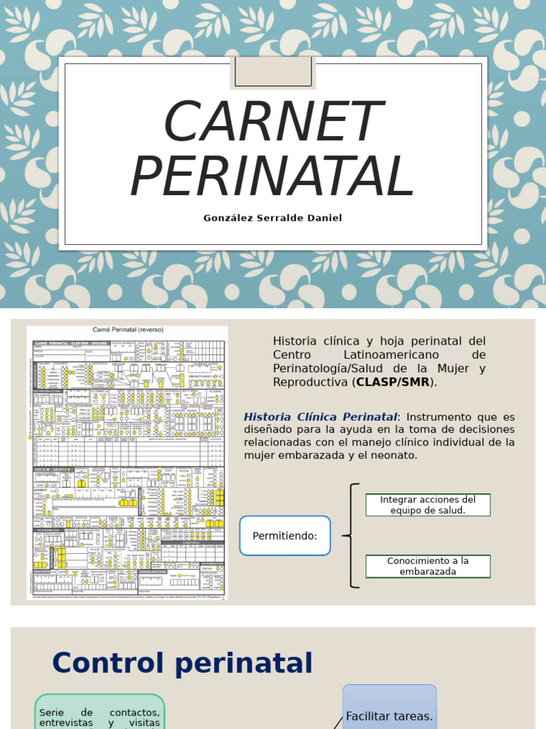 Carnet Perinatal | PDF | El embarazo | Parto