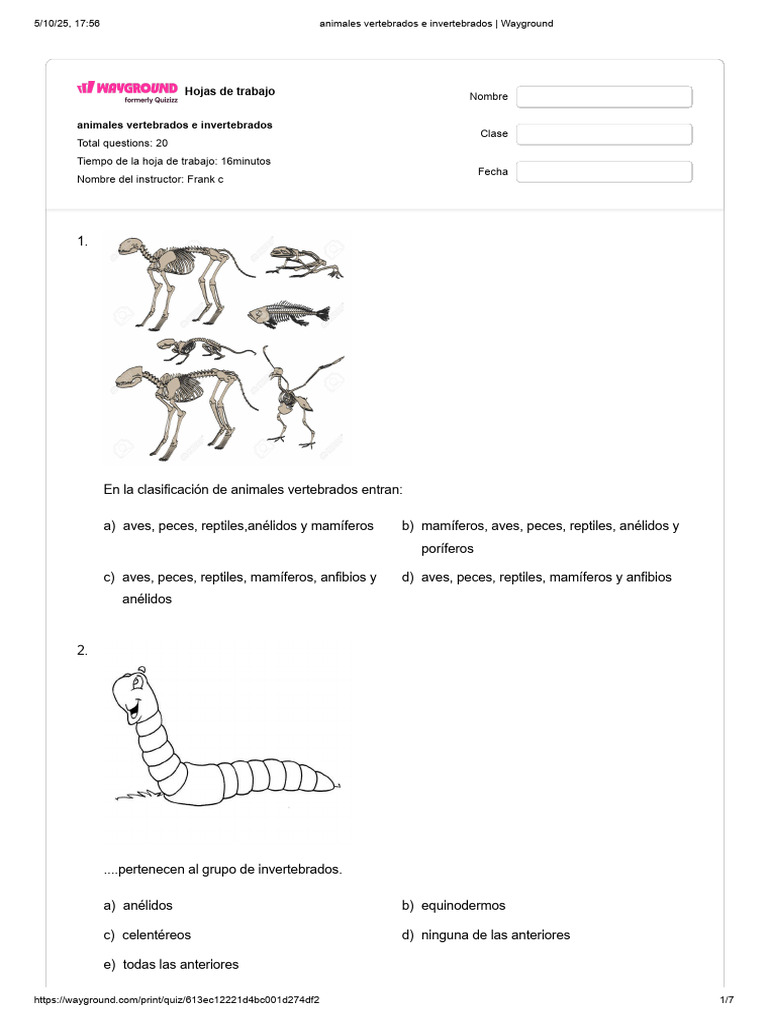 Animales Vertebrados e Invertebrados - Wayground | PDF | Reptil ...