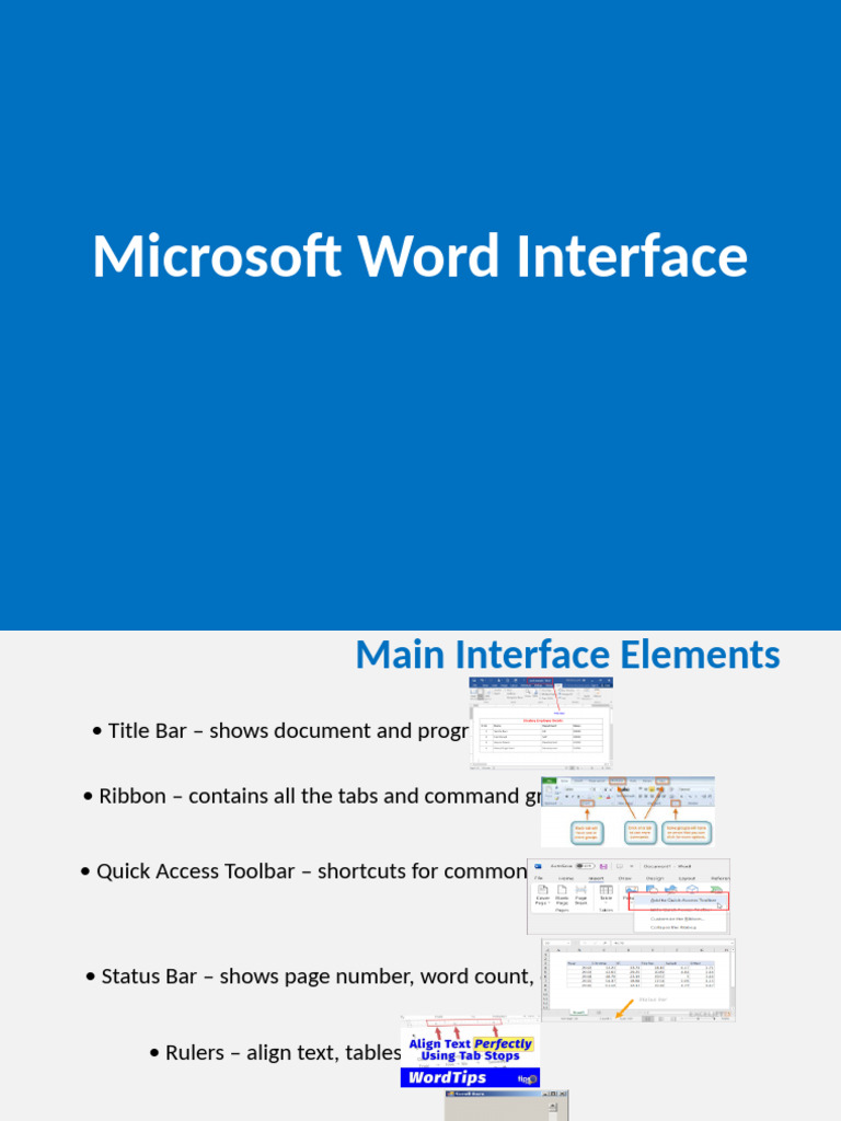 Microsoft Word Interface | PDF