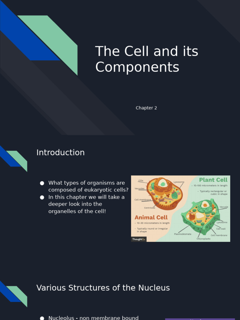 Biology 12_ Unit 1, Chapter 2.1 (Part 1) (1) | PDF