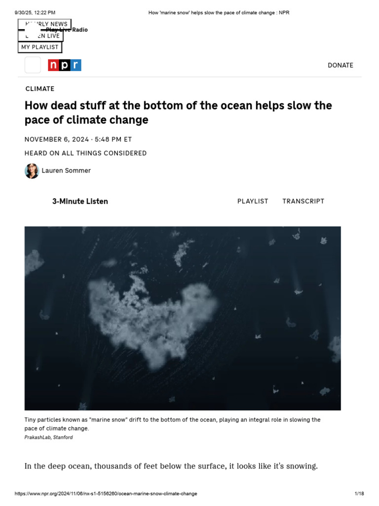 How 'Marine Snow' Helps Slow The Pace of Climate Change - Lauren Sommer ...