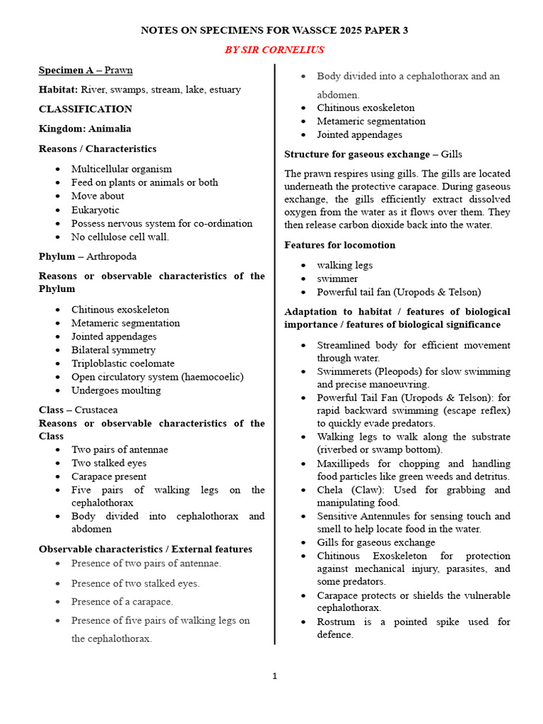 Notes On Specimens For Wassce 2025 Paper 3 | PDF | Spider | Feather