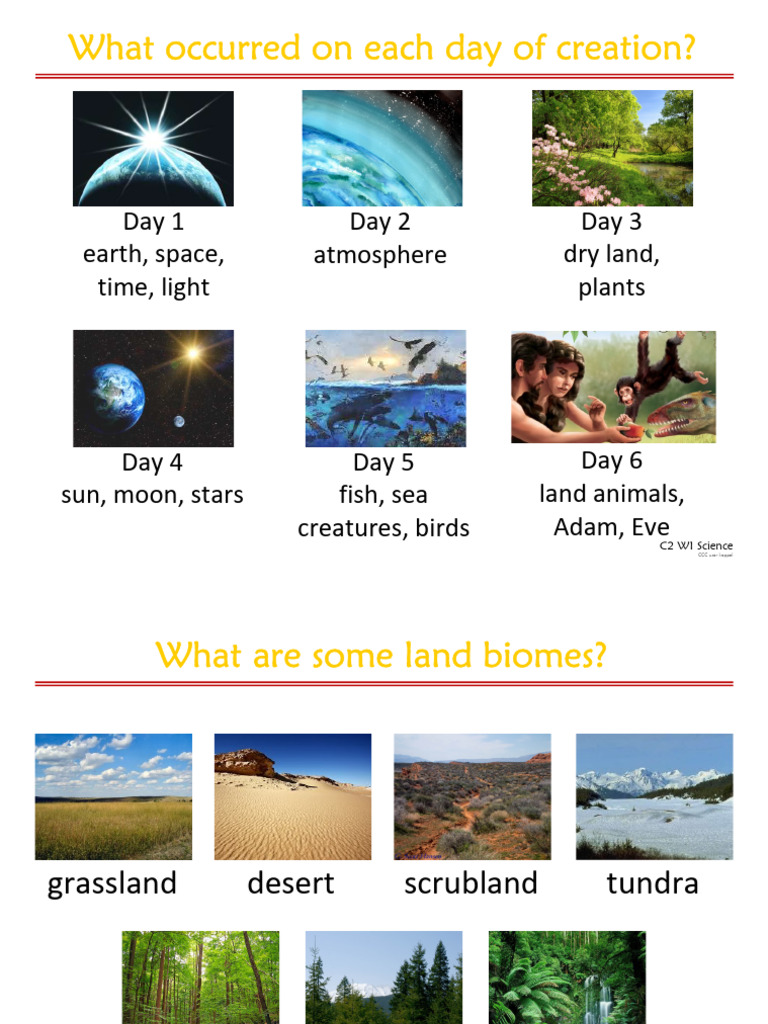 Creation Days and Land Biomes Explained | PDF