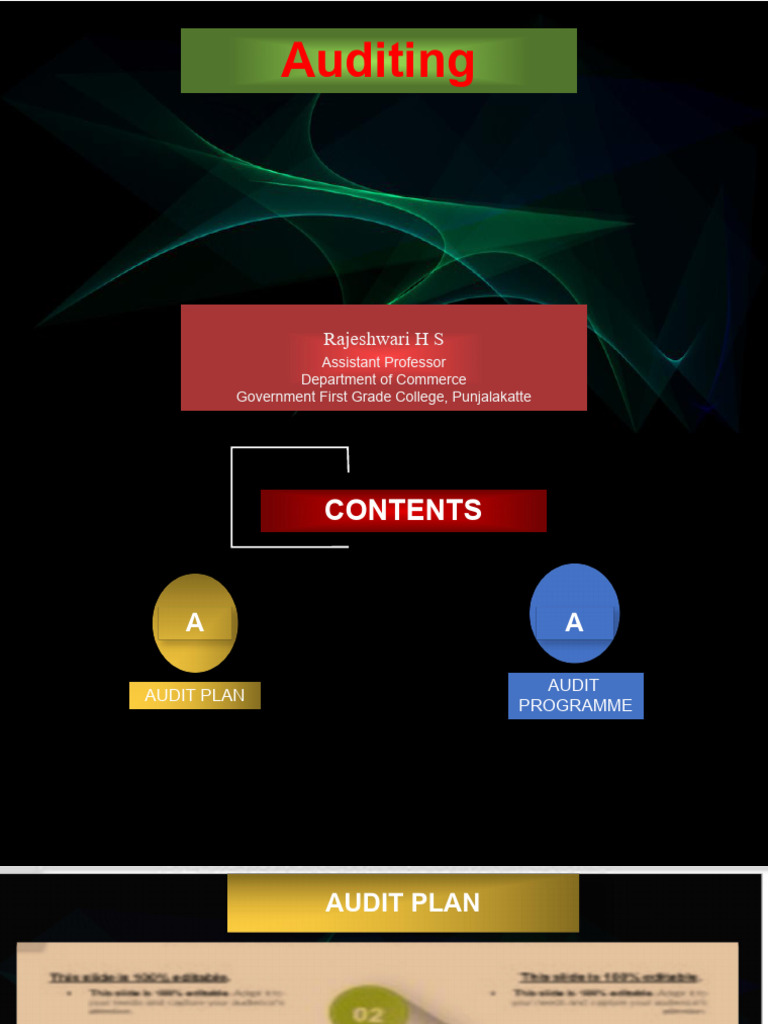 Audit Programme | PDF