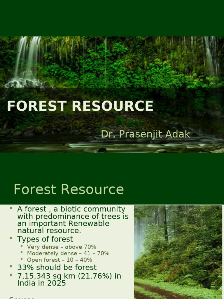 Overview of Forest and Energy Resources | PDF | Biofuel | Natural Gas
