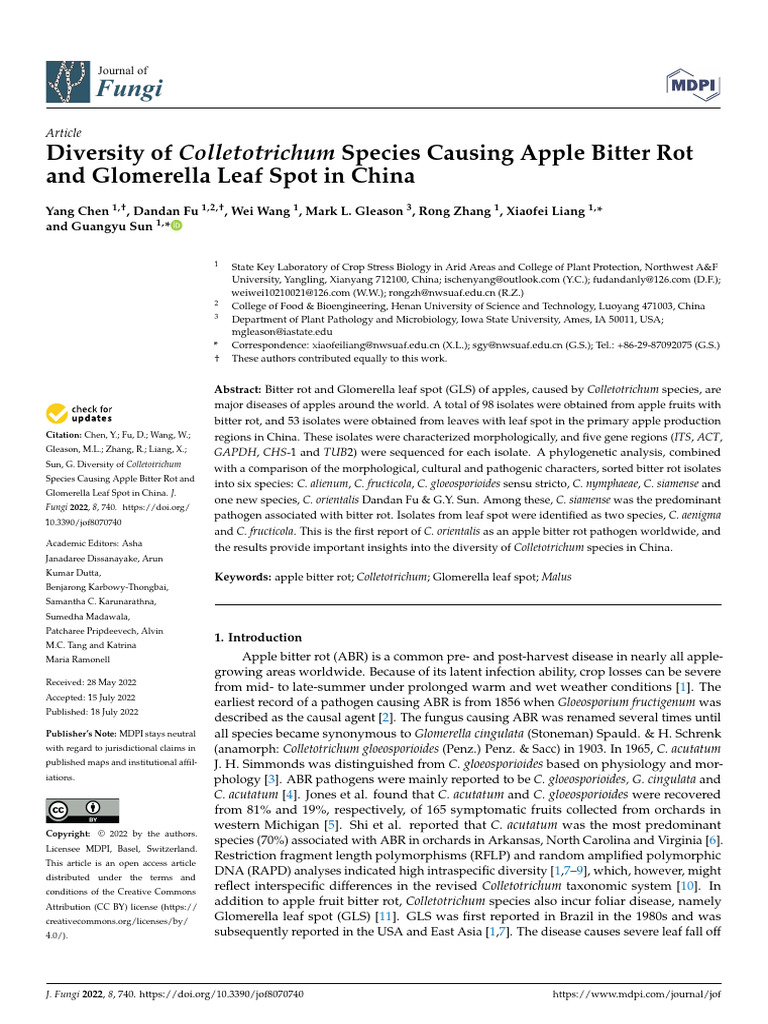 Colletotrichum Species in Apple Diseases | PDF | Phylogenetics ...