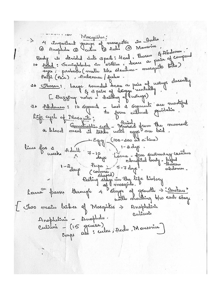 Entomology Notes | PDF