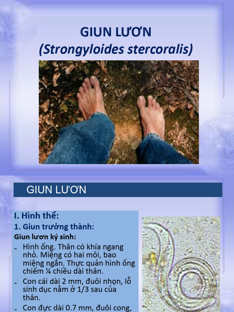 Giun Luon | PDF