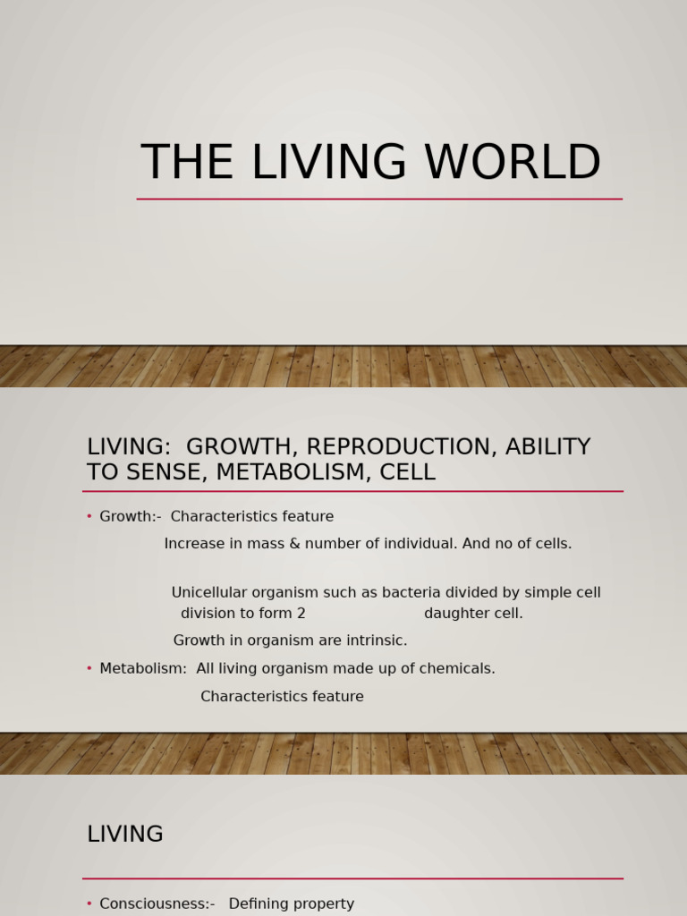 Living World | PDF