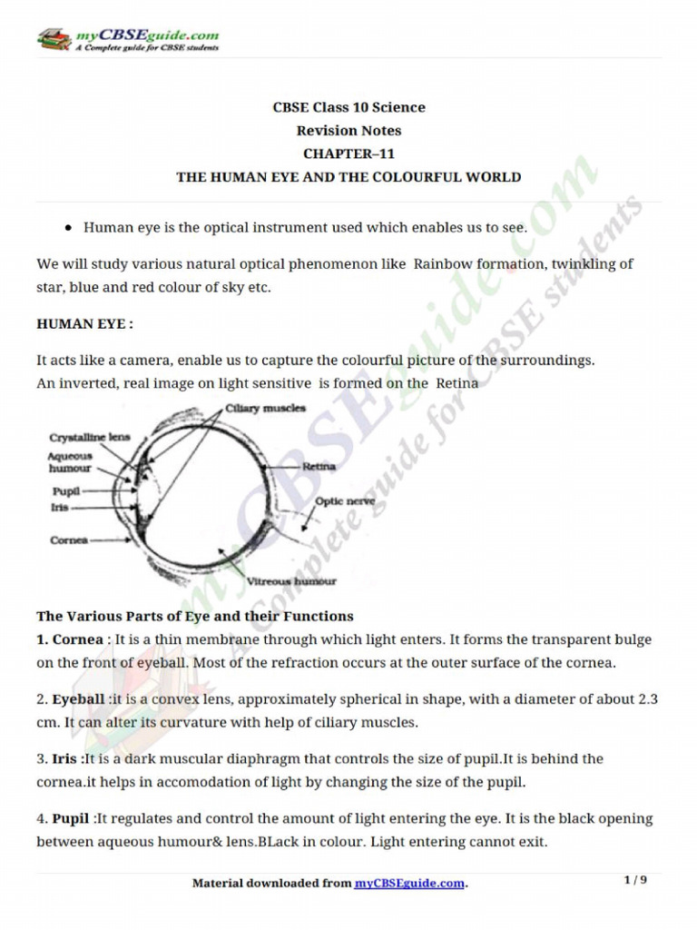 10 Science Notes 11 Human Eye and Colourful World 1 | PDF
