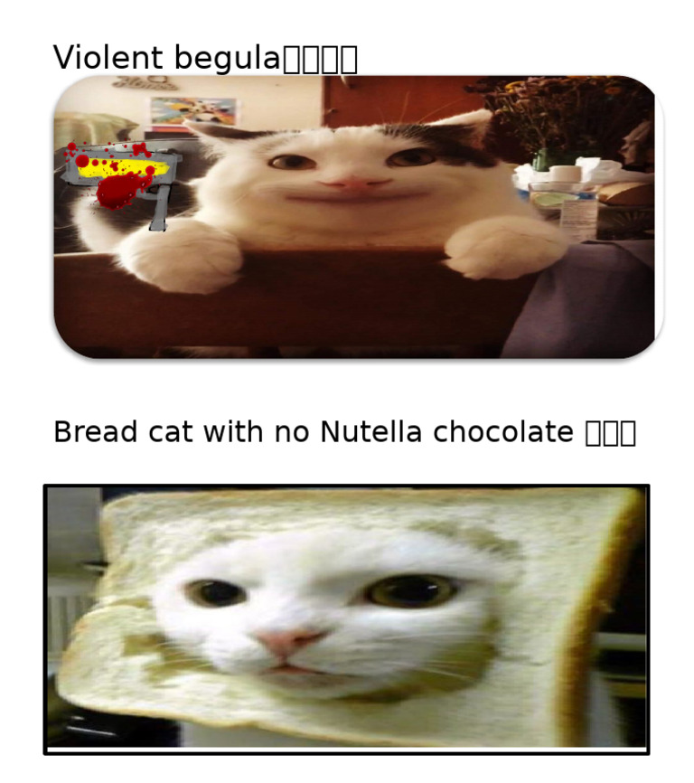 Violent Begula???? | PDF