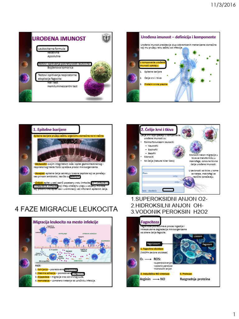 Vezba-Urodjena Imunost | PDF