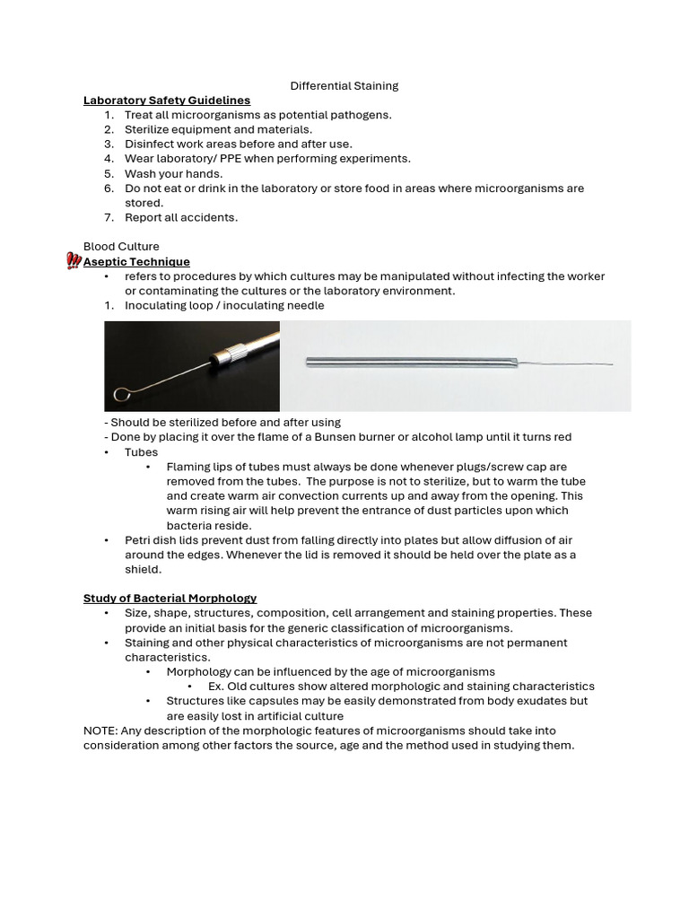 Differential Staining and Special Staining | PDF | Gram Positive ...