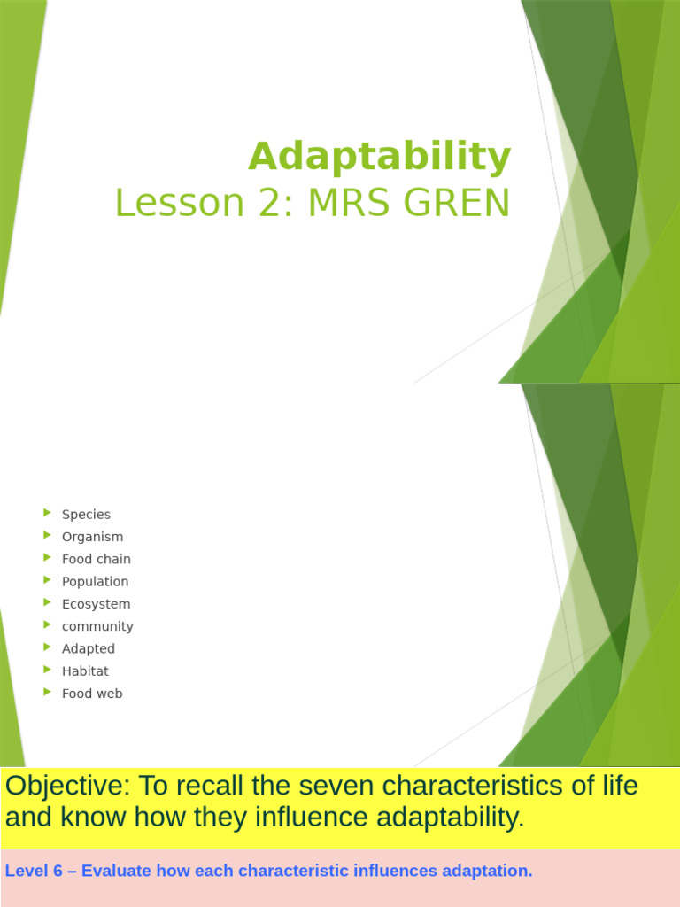 Lesson 2 - MRS GREN | PDF