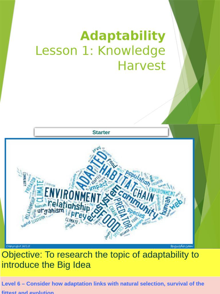 Lesson 1 - Knowledge Harvest | PDF